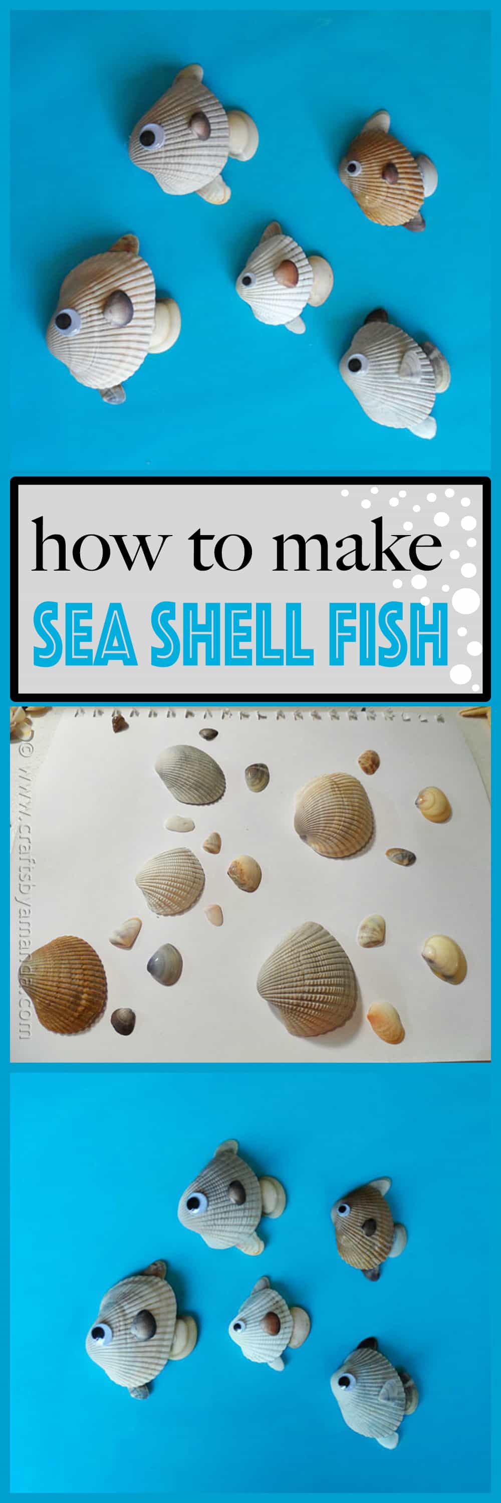Seashell Fish: put those shells you found on the beach to good use!