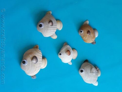 How to Make Seashell Fish - Crafts by Amanda - Beach Crafts for Kids