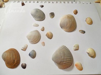 How to Make Seashell Fish - Crafts by Amanda - Beach Crafts for Kids