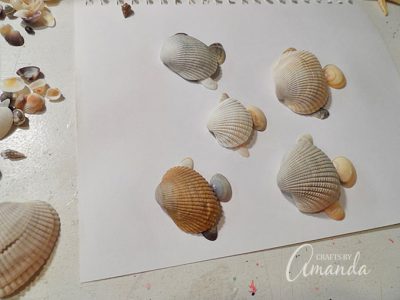 How to Make Seashell Fish - Crafts by Amanda - Beach Crafts for Kids