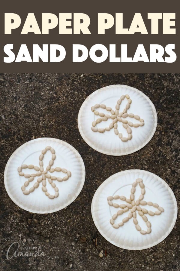Paper Plate Sand Dollars: an easy and fun beach craft for kids