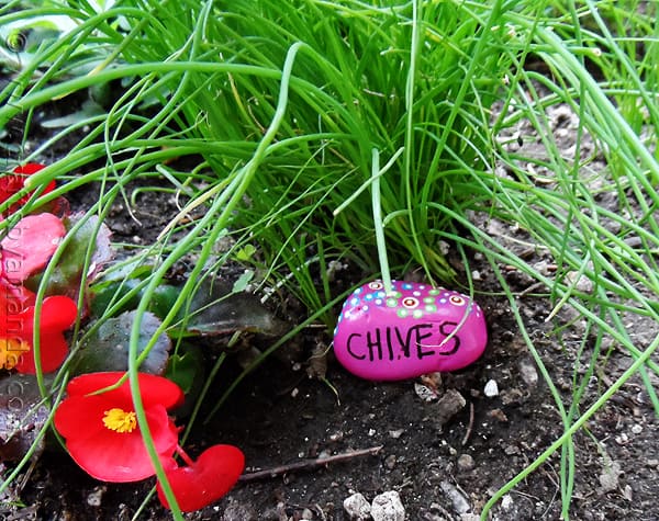 Rock Garden Markers: paint rocks to make markers for your plants