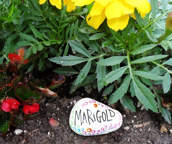 Rock Garden Markers: paint rocks to make markers for your plants
