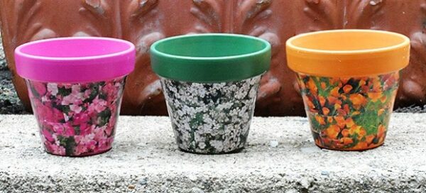Seed Packet Decoupage Clay Pots - Crafts by Amanda