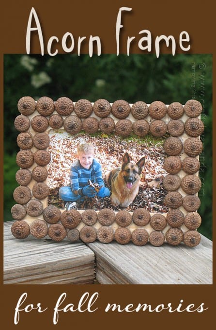 Acorn Frame - Crafts by Amanda