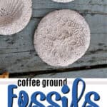 Coffee Ground Fossils - salt dough tutorial - Crafts by Amanda