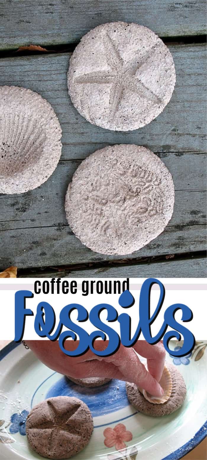 coffee ground fossils: Make your own fossils from coffee grounds