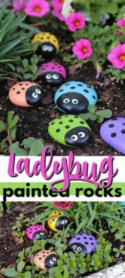 Ladybug Painted Rocks: ladybug rocks for the garden
