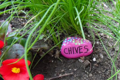 Rock Garden Markers: paint rocks to make markers for your plants