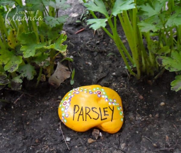 Rock Garden Markers: paint rocks to make markers for your plants