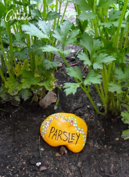 Rock Garden Markers: paint rocks to make markers for your plants