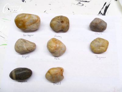 Rock Garden Markers: paint rocks to make markers for your plants