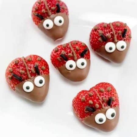 25+ Ladybug Crafts and Recipes: all sorts of ladybug craft ideas