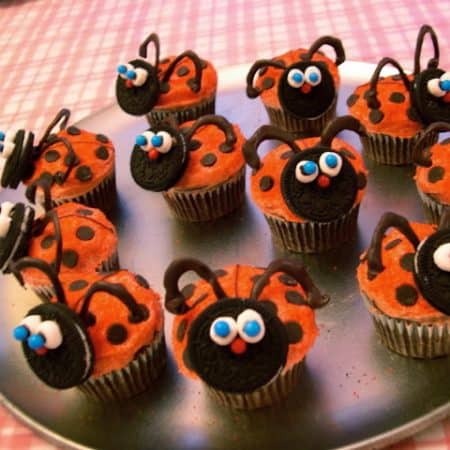 25+ Ladybug Crafts and Recipes: all sorts of ladybug craft ideas
