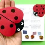 25+ Ladybug Crafts and Recipes: all sorts of ladybug craft ideas