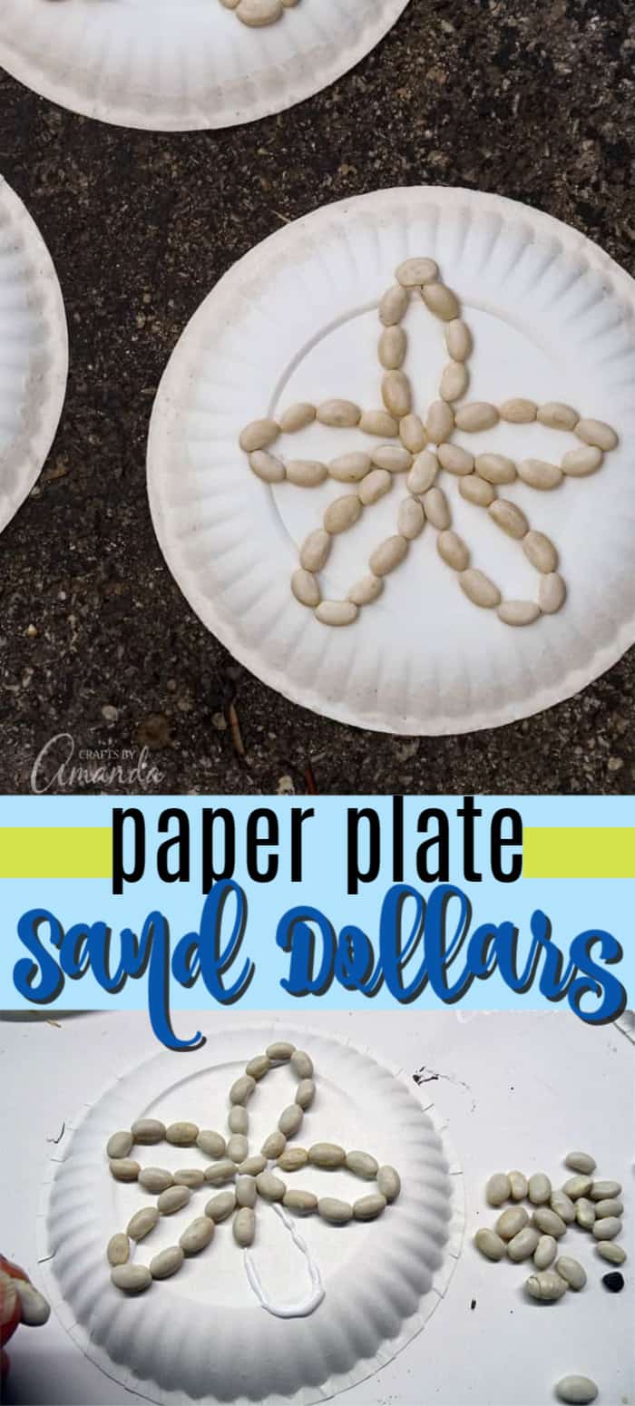 Paper Plate Sand Dollars: an easy and fun beach craft for kids