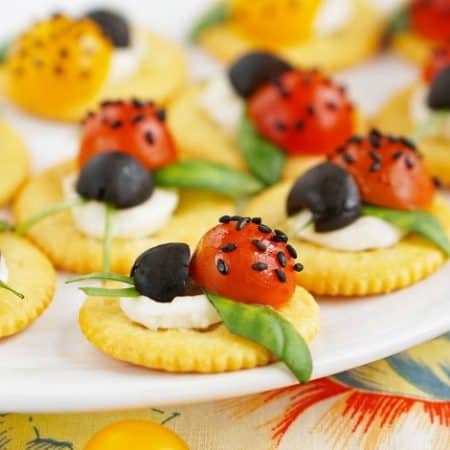 25+ Ladybug Crafts and Recipes: all sorts of ladybug craft ideas