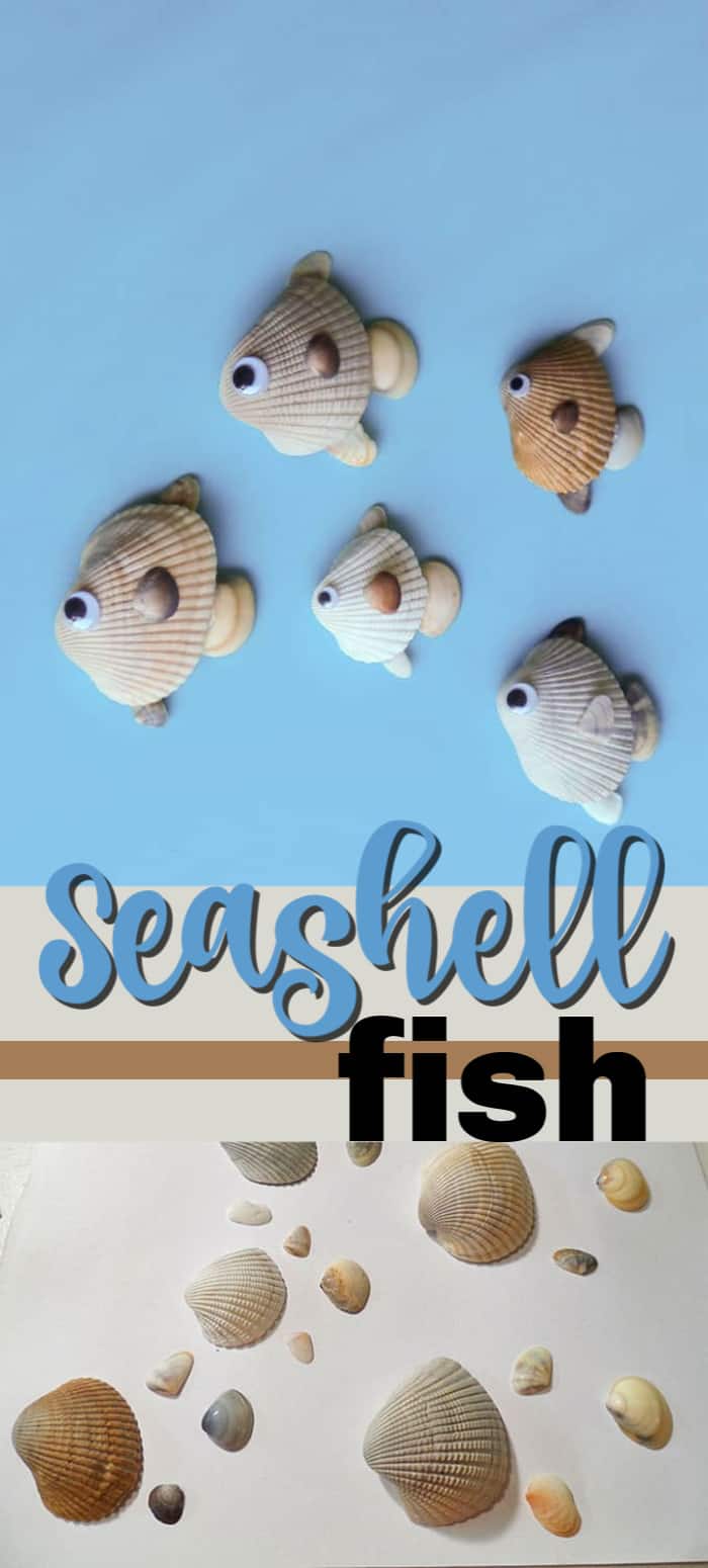 How to Make Seashell Fish - Crafts by Amanda - Beach Crafts for Kids