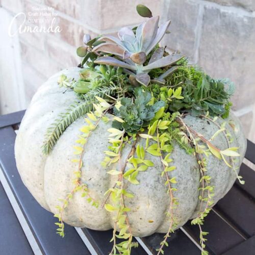 Stacked Pumpkin Planter: a great craft to welcome in fall on your front porch!