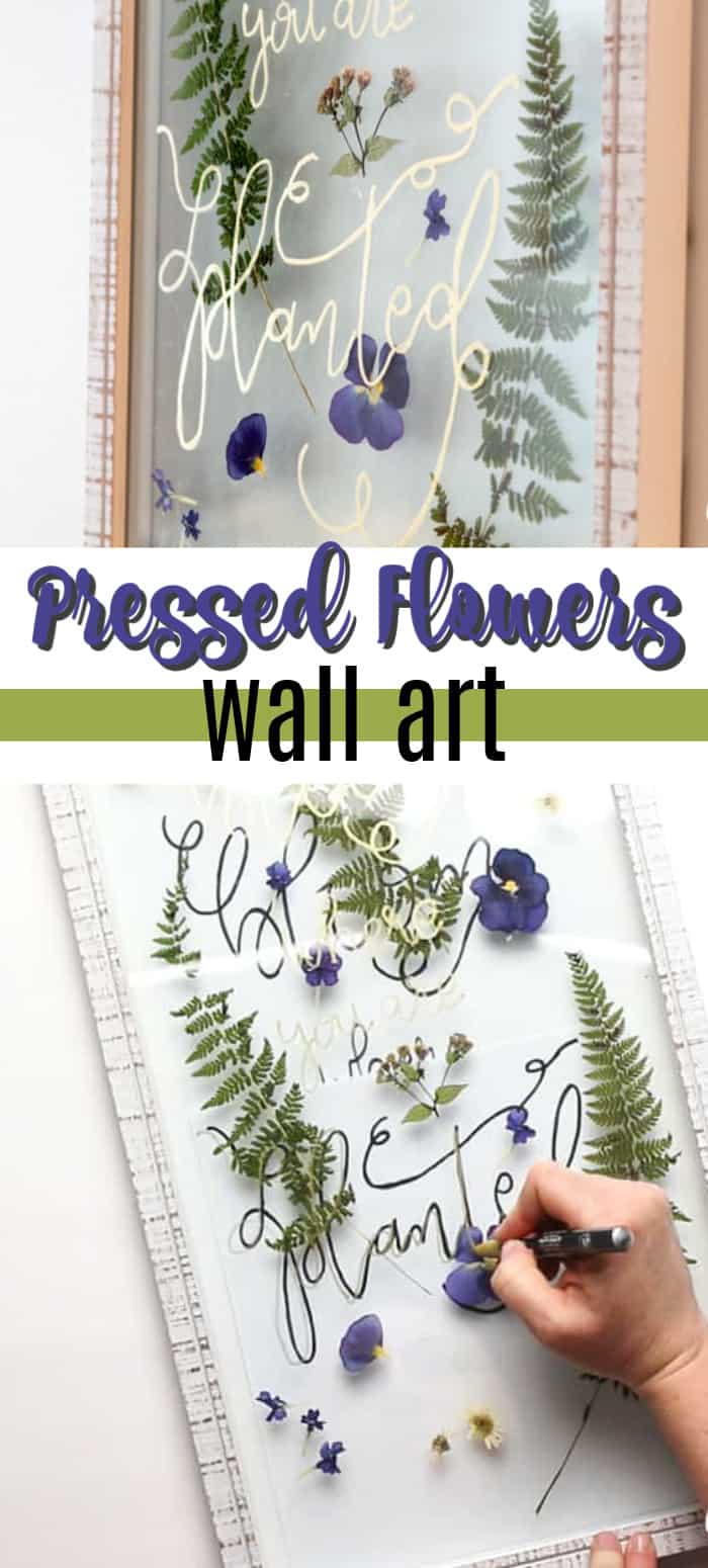 Pressed Flower Art - how to press flowers - Crafts by Amanda