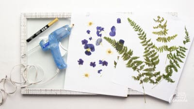 Pressed Flower Art - how to press flowers - Crafts by Amanda