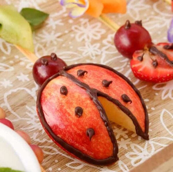 25+ Ladybug Crafts and Recipes: all sorts of ladybug craft ideas