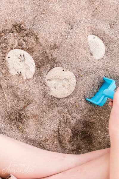 Coffee Ground Fossils - salt dough tutorial - Crafts by Amanda