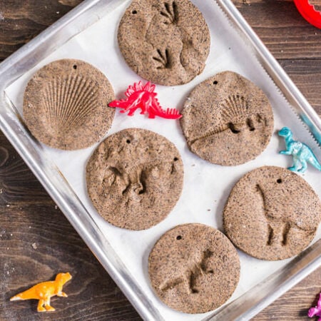 Coffee Ground Fossils - salt dough tutorial - Crafts by Amanda