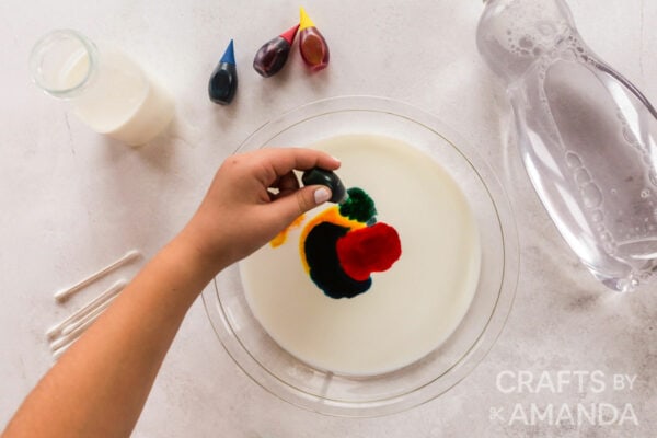 Magic Milk Experiment - Crafts by Amanda