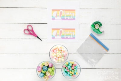 Bunny Bait Bag Topper - Crafts by Amanda - Free Printables